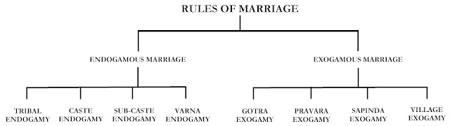 What is Endogamy Marriage? Which Country Marriage is Called As Endogamy ...