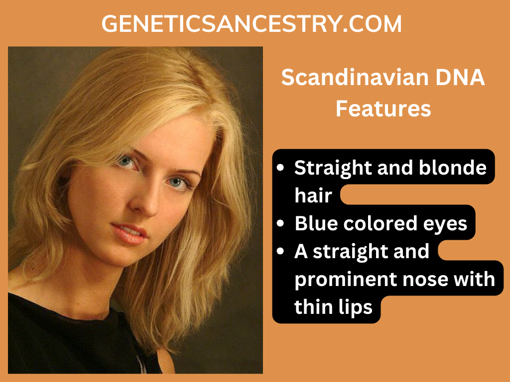 Scandinavia: DNA, Ancestry, Ethnicity (2024) | Viking Ancestry ...